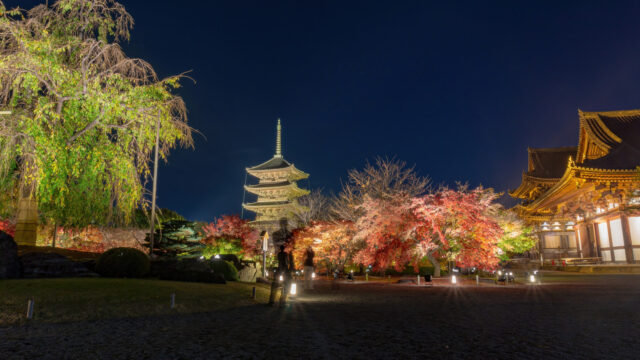 6C3や6P3の計算方法・意味・答え・違いは？【組み合わせと順列：数学】｜おでかけラボ