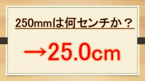 250mmは何センチでどれくらい（身近なもの）？何インチで何メートル？｜おでかけラボ